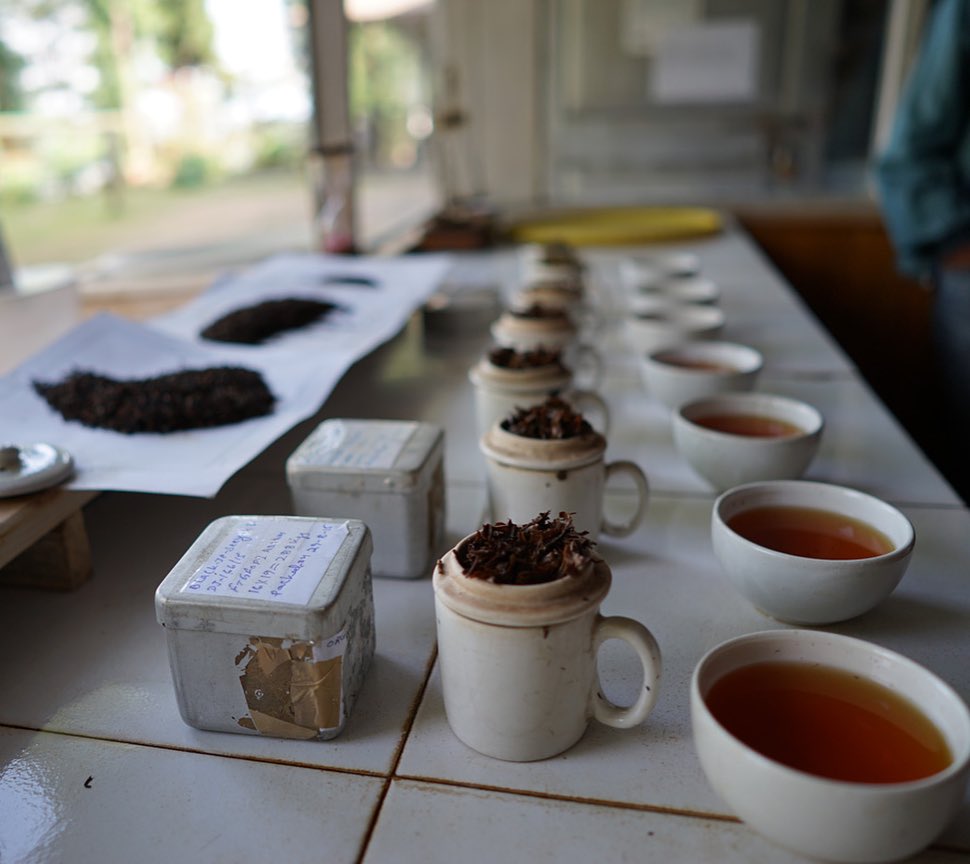 2023年 セカンドフラッシュ第2弾 入荷いたしました | Uf-fu | 紅茶専門店 ウーフ