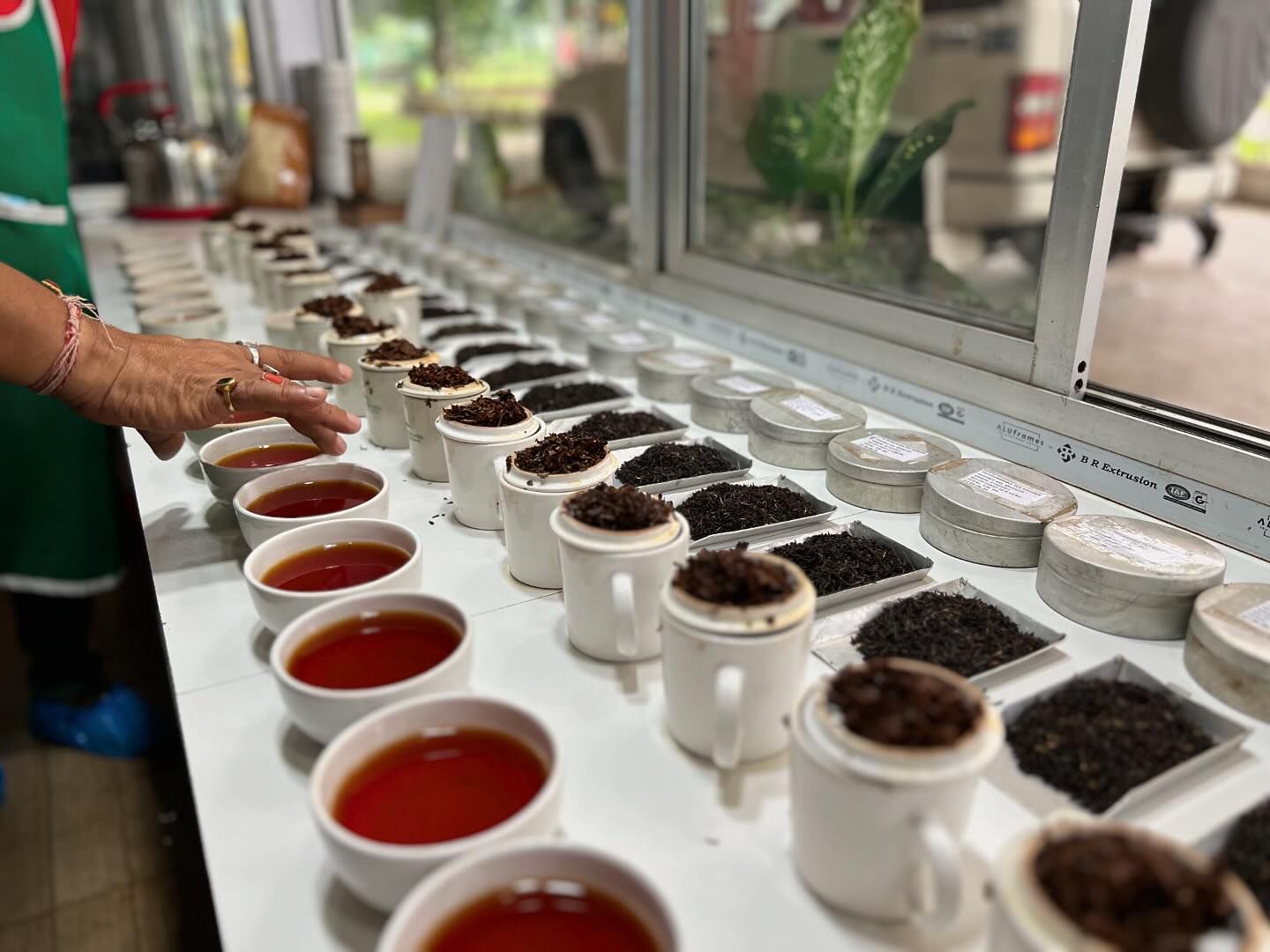 ドアーズ プッタジョーラ茶園 SUMMER SPECIAL 入荷しました | Uf-fu | 紅茶専門店 ウーフ